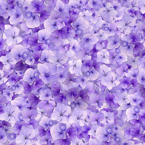 Timeless Treasures – Garden Delight Viola Flora - 1 Yard – Aurora ...